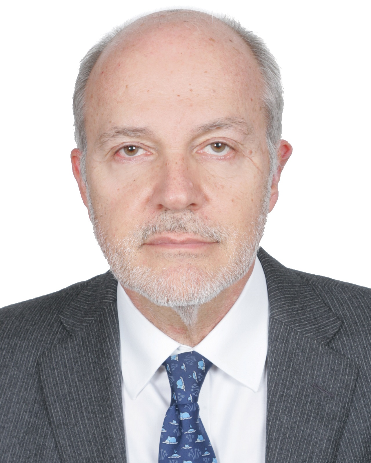 Leadership - Hellenic Aid